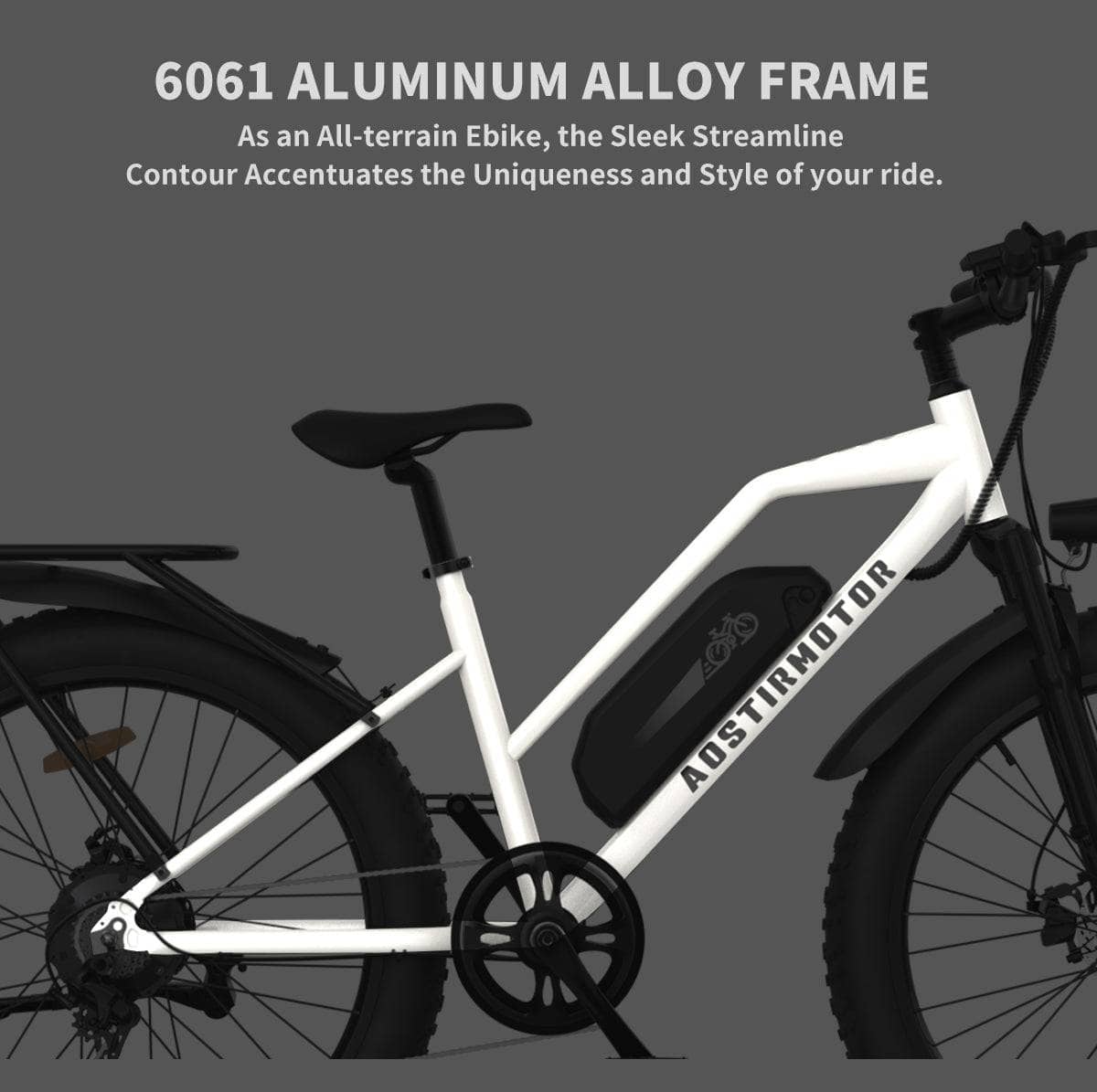 Smart bike 48v store